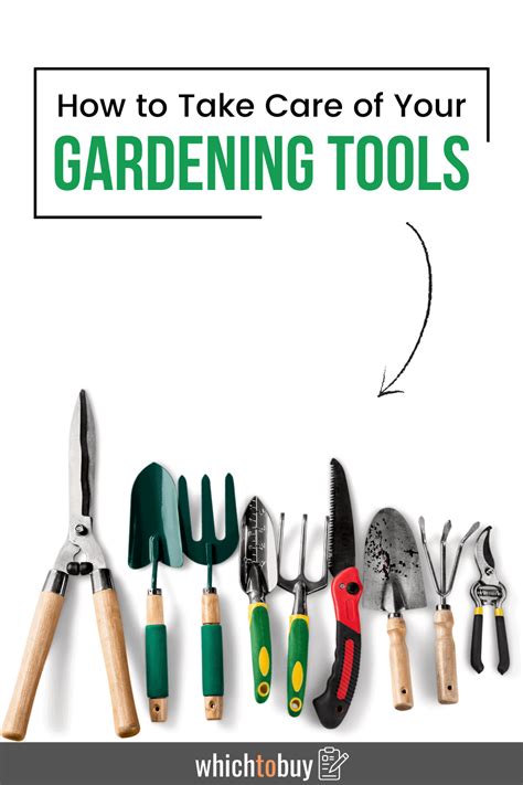 Essential Gardening Tools List And How To Use Them Which To Buy