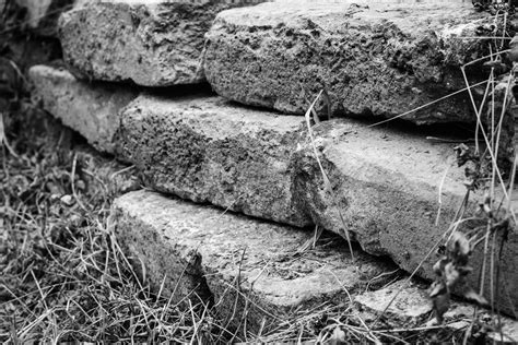 Fotos gratis árbol rock en blanco y negro arquitectura estructura