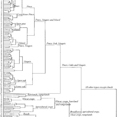 Dendrogram Of The Hierarchical Cluster Analysis A Very Good