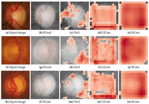 sensors free full text in depth evaluation of saliency maps for interpreting convolutional