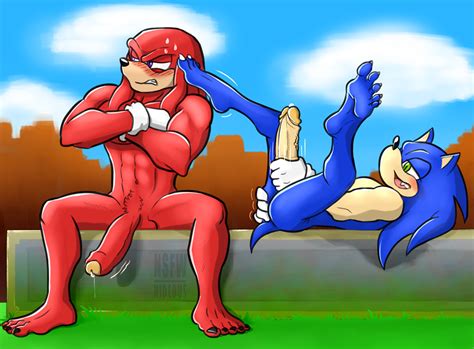 Rule 34 Anthro Duo Echidna Foreskin Glans Hedgehog Humanoid Penis Knuckles The Echidna Male