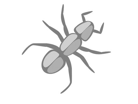 Gray Ant Clip Art At Clker Vector Clip Art Online Royalty Free