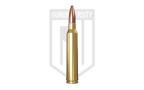 7mm Rem Mag Vs 300 Win Mag 2025 Ammo Comparison