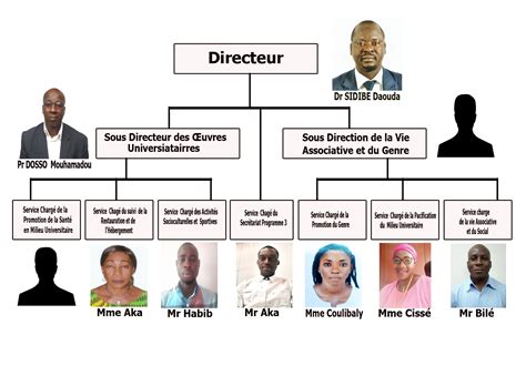 Organigramme DOUVAG CÔTE D IVOIRE