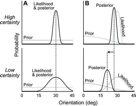 priors can bias perception in the bayesian framework the perceptual download scientific