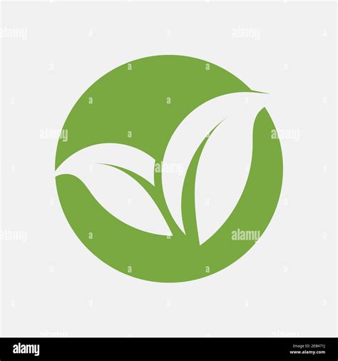 Eco Icon Green Leaf Vector Illustration Stock Vector Image Art Alamy
