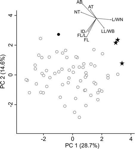 Full Article Euphrasia Ultima A New Locally Endemic Diploid Species