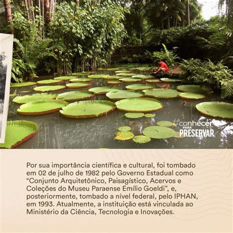 ipatrimonio Belém Museu Paraense Emílio Goeldi Imagem SeCult PA6
