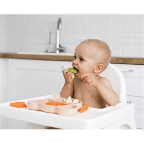 Introdução alimentar como e quando começar Fazendo Arte Baby Store