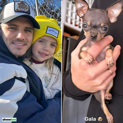 Galatasaray Ruhu on Twitter Mauro Icardi nin kızı Isabella yeni
