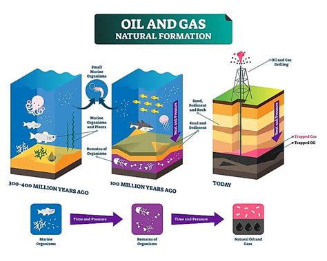 Fossil Fuels And Clearance Emergencydentistry