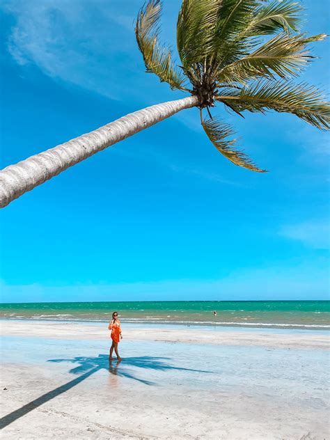 PRAIA DE IPIOCA EM MACEIÓ Como chegar o que fazer e beach clubs