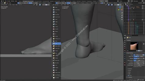 Gumroad Anatomy And Form In Blender
