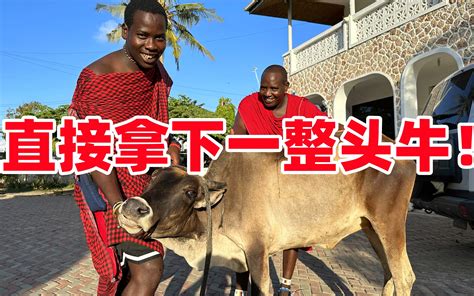 年度大总结保镖要真情流露啦为了庆祝我们直接买了一整头牛 非洲小五 非洲小五 哔哩哔哩视频