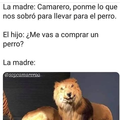 Cuando Me Explican 7 Veces Lo Mismo Y Sigo Sin Entender Nada Memes