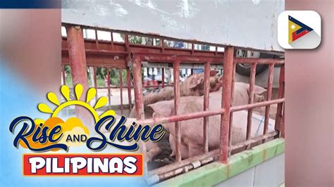 Pagbabantay Sa Mga Border Control At Meat Establishment Pinaigting Pa