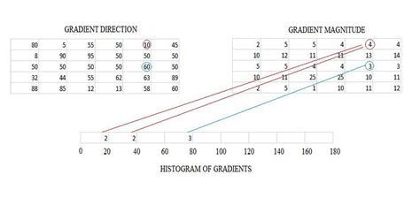 histogram of gradients calculation of each pixel is weighted that is download scientific