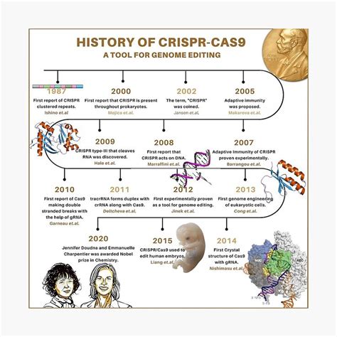The History Of Cripr Cas9 A Tool For Genemae Editing