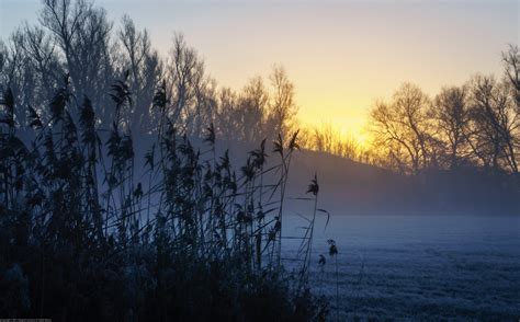Bakgrundsbilder solljus landskap skog solnedgång sjö vatten
