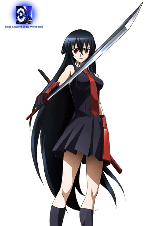 Akame Render 5 By Xelectromanx10 On Deviantart