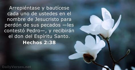 Hechos Vers Culo De La Biblia Dailyverses Net Hot Sex Picture