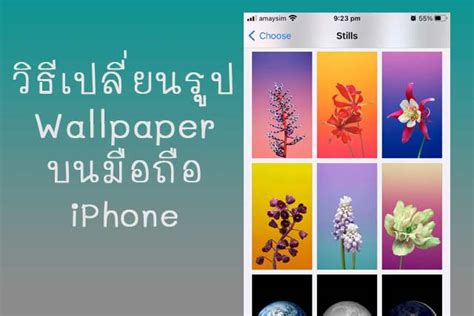 Wallpaper Daotaonec