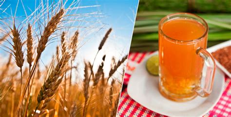 Refresco de Cebada Gastronomía del Perú Bebidas del Perú