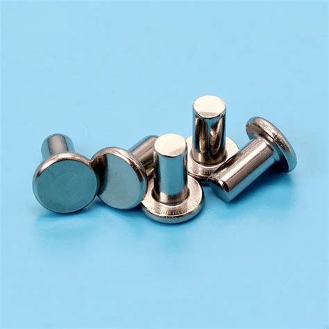 50pcs M2 5 Stainless Steel Rivets Flat Head Solid Percussion Rivet 5mm