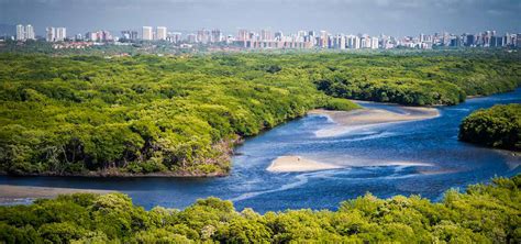 Você sabe o que é Área de Preservação Ambiental APP Vertice