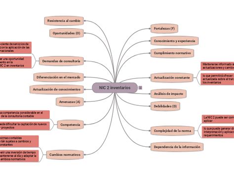 Nic 2 Inventarios Mapa Mental Amostra
