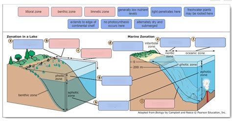 Ch Marine And Coastal Systems Activity Aquatic Ecosystems Diagram