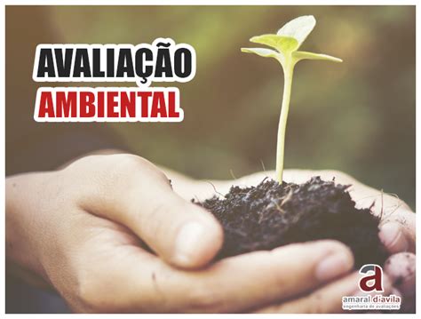 Conheça mais sobre a avaliação ambiental Amaral D ávila
