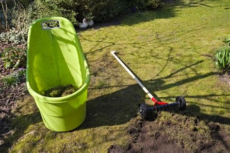 Jakie zabiegi wiosną na trawnik 12 rzeczy które go zregenerują po
