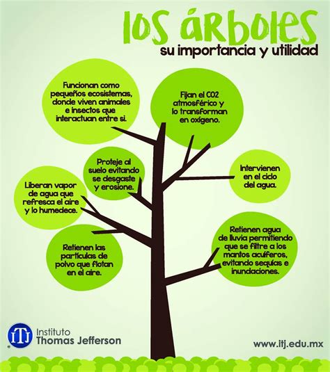 Details Por Qu Es Importante Cuidar Los Rboles Abzlocal Mx