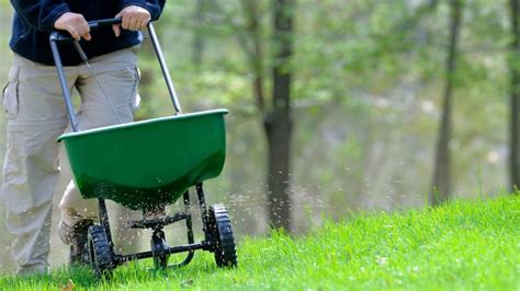 When To Weed And Feed Your Lawn Quick Start Guide