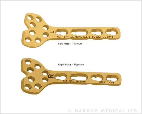 Volar Distal Radius Plate 2 4 Volar Distal Radius Plate 2 4