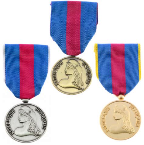 La M Daille Des R Servistes Volontaires De D Fense Et De S Curit