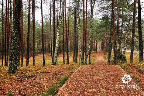 wycieczka Kaszubska Marszruta długi weekend w Borach Tucholskich