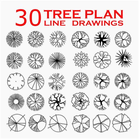 Tree Top View Drawing