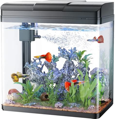 Amazon PONDON Fish Tank 3 Gallon Glass Aquarium With Air Pump