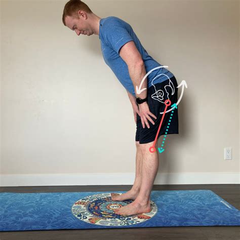 Is It Ok To Round Your Back In A Forward Fold — Dani Winks Flexibility