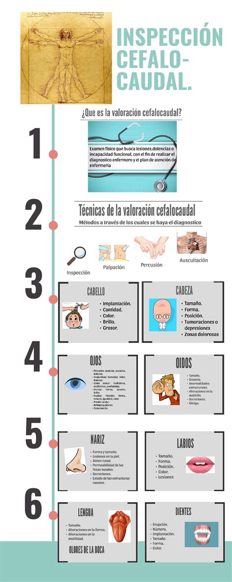 Valoración cefalocaudal Esquemas y mapas conceptuales de Enfermería