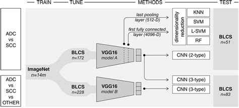 experimental design a convolutional neural network vgg16 developed download scientific