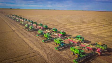 Amaggi Bom Futuro e SLC Agrícola são os maiores produtores de soja do
