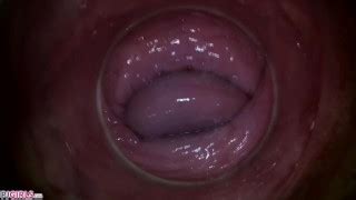 Cam Inside Vagina Sex Pictures Pass