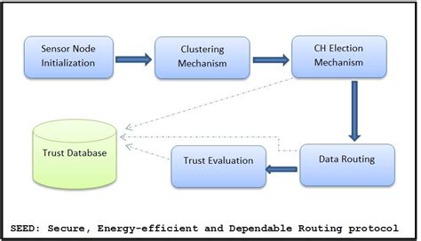 roles and identities of nodes in a clustered wsn model c seed download scientific diagram