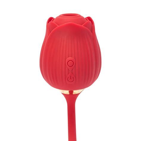 10 Function Rose Vibrator With Thrusting Bullet Playfultoy