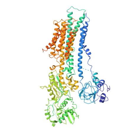 RCSB PDB 6A69 Cryo EM Structure Of A P Type ATPase
