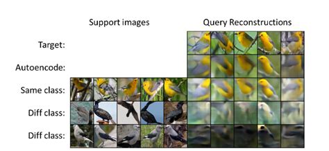 few shot learning（一）few shot classification with feature map reconstruction networks 知乎