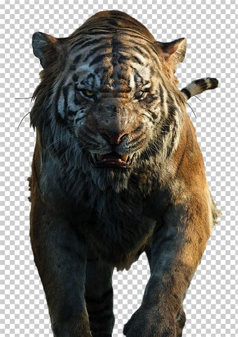 Shere Khan The Jungle Book Baloo Mowgli Bagheera PNG Clipart Akela